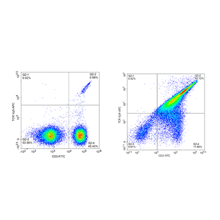 Expanded Human Peripheral Blood Gamma Delta T Cells (Vγ9Vδ2), Frozen T ...