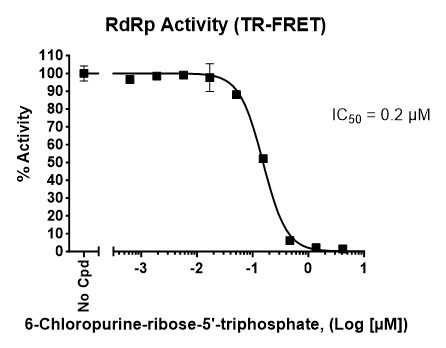 RdRp (SARS-CoV-2) TR-FRET Assay Kit RdRp 78553