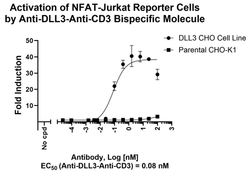 DLL3 CHO Cell Line DLL3 78882