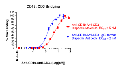 Bispecific CD19:CD3 Bridging Chemiluminescence ELISA Kit CD19 82764