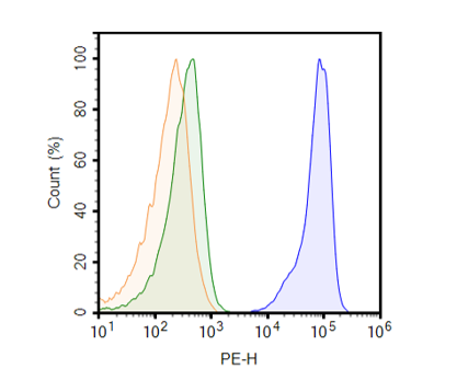 Firefly Luciferase CD19/CD20 Double Knockout Raji Cell Line CD19, CD20 82625