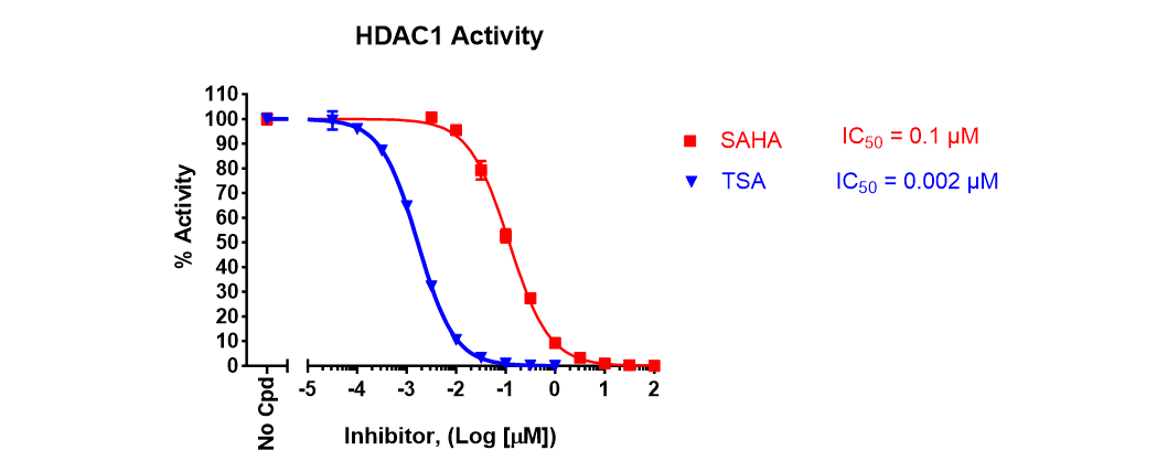 HDAC Fluorogenic Assay Kit (Green) HDAC 50034