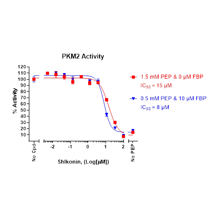 PKM2 Kinase Inhibition Assay Kit 87809