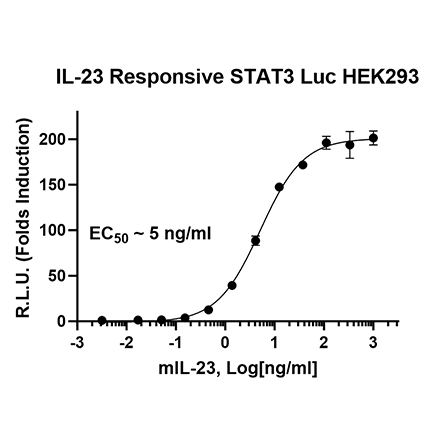 IL-23 Responsive STAT3 Luciferase Reporter HEK293 Cell Line IL-23 82591