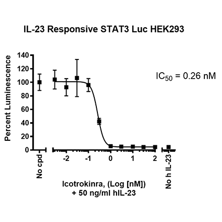 IL-23 Responsive STAT3 Luciferase Reporter HEK293 Cell Line IL-23 82591