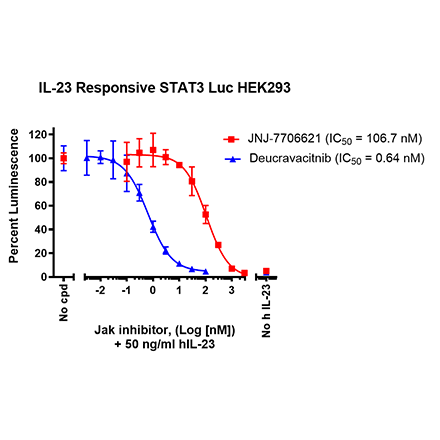 IL-23 Responsive STAT3 Luciferase Reporter HEK293 Cell Line IL-23 82591