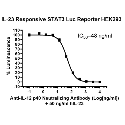 IL-23 Responsive STAT3 Luciferase Reporter HEK293 Cell Line IL-23 82591