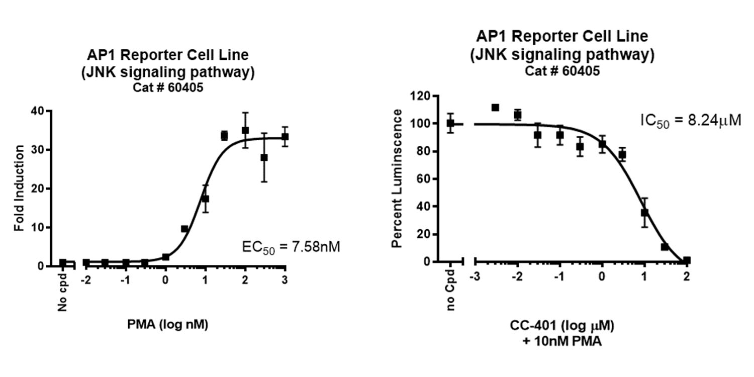 Signaling Pathway Reporter Cell Lines at Carol Hilburn blog