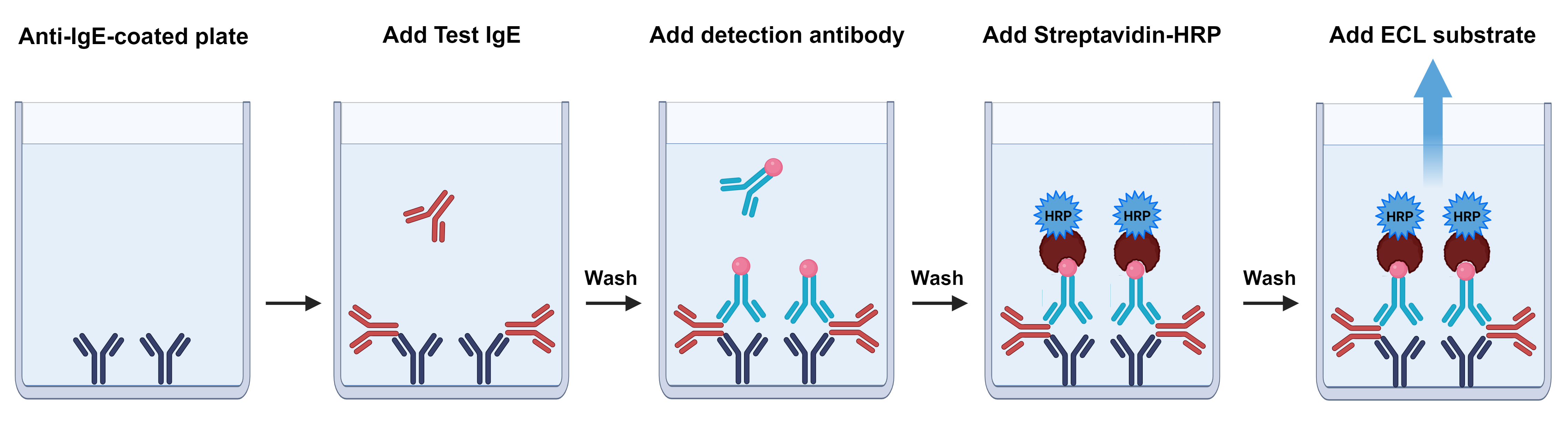 Human IgE Colorimetric ELISA Kit Immunoglobulin 82721