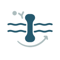VLP (Virus-Like Particles) for optimal presentation of transmembrane ...