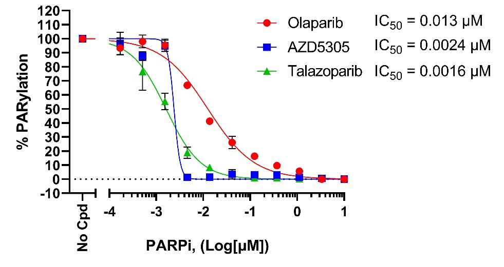 Biochemical and cell-based assays to interrogate ADP-ribosylation