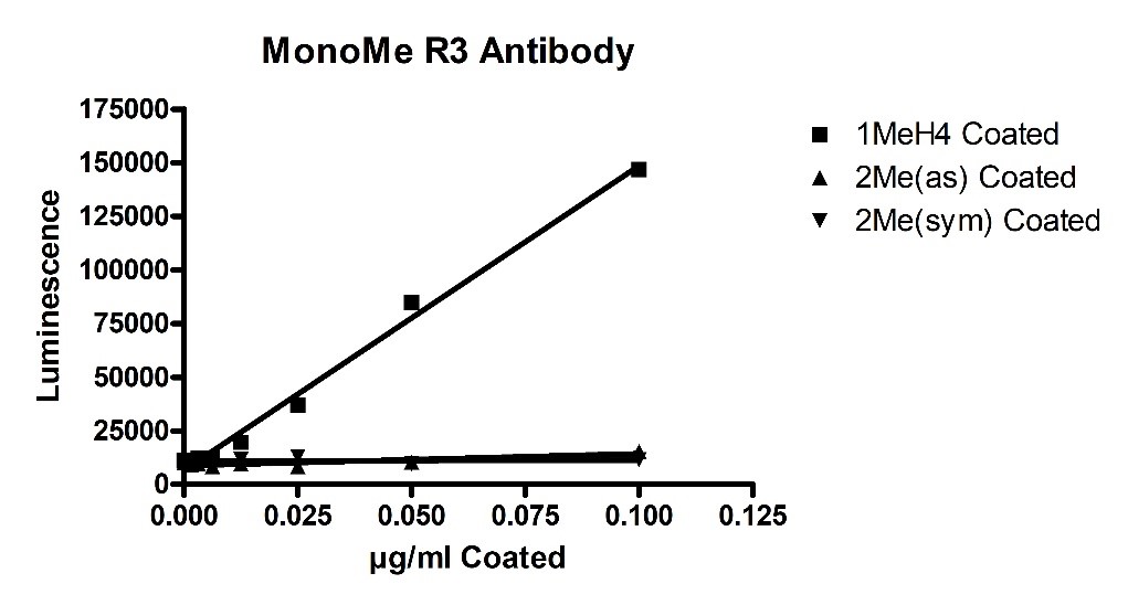 PRMT5 and Methylation