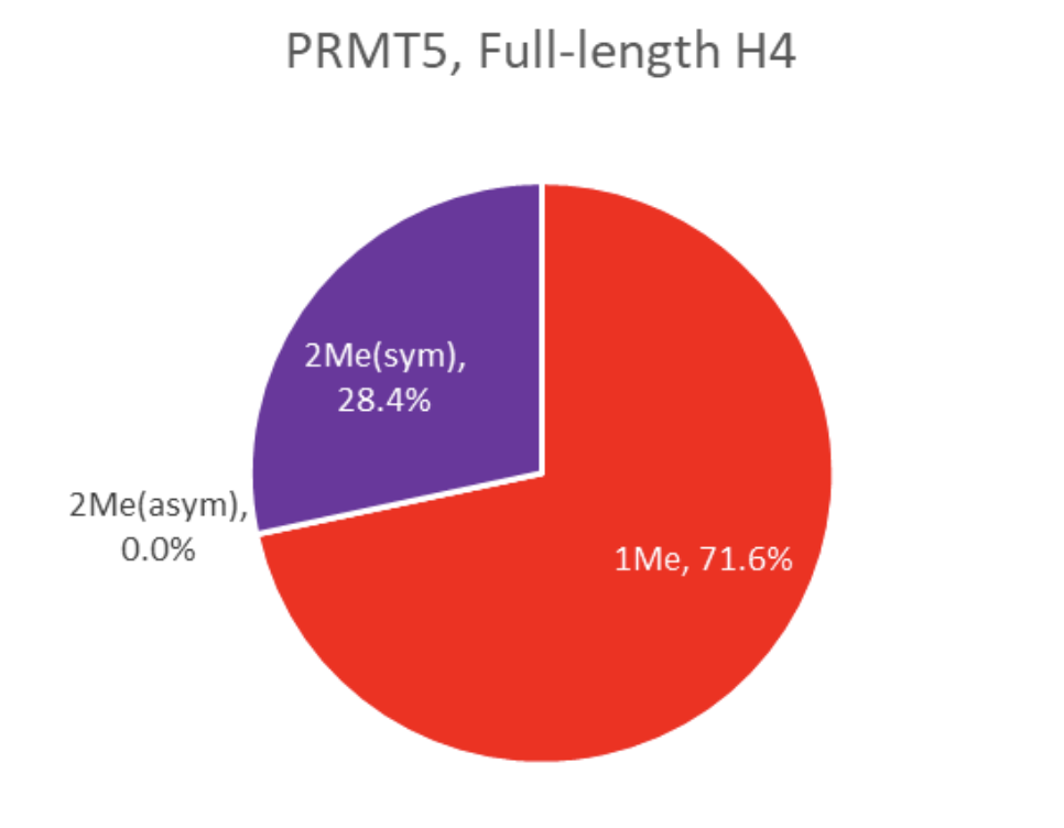 PRMT5 and Methylation