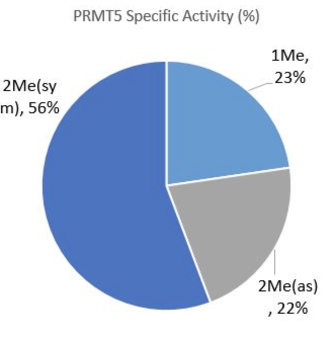 PRMT5 and Methylation