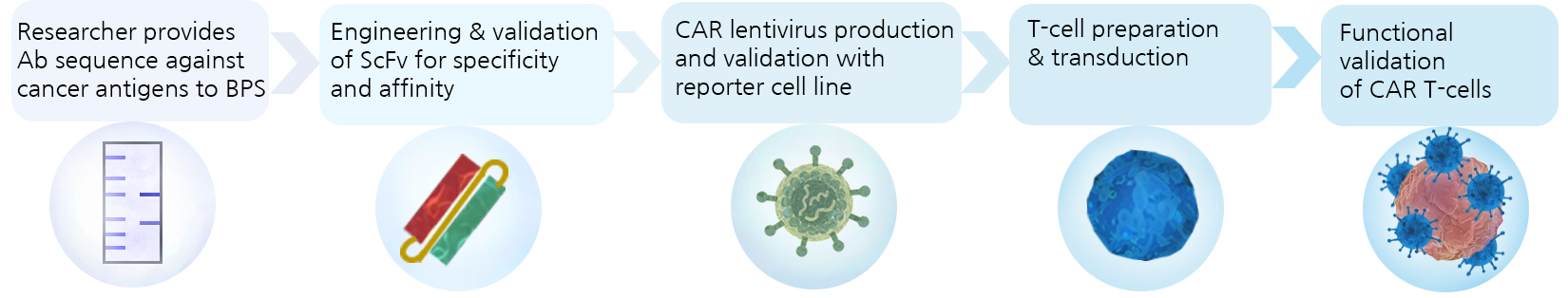 CAR T-Cell Development Services