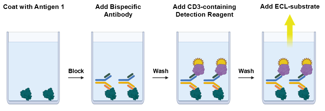 Bispecific BCMA:CD3 Bridging Chemiluminescence ELISA Kit BCMA, CD3 82801