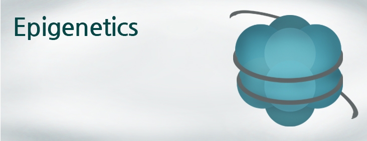 About BPS Bioscience