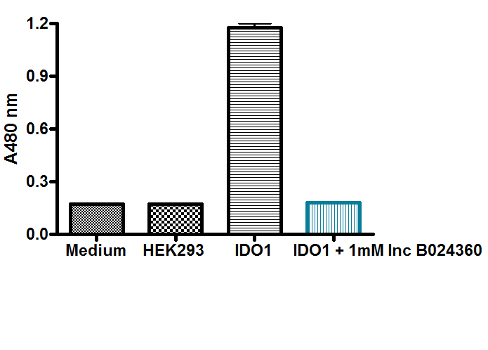 IDO/TDO Screening Services